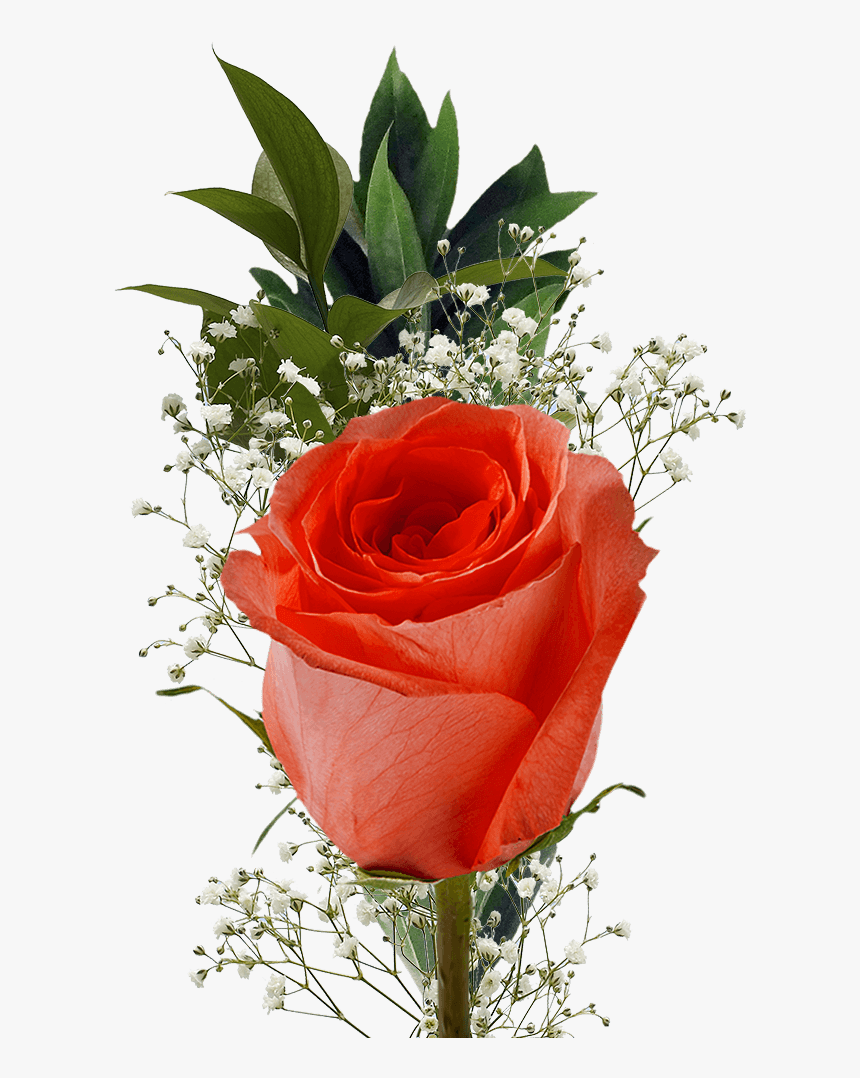 Single Assorted Color Roses Filler Flowers For Mother - Single Flowers ...