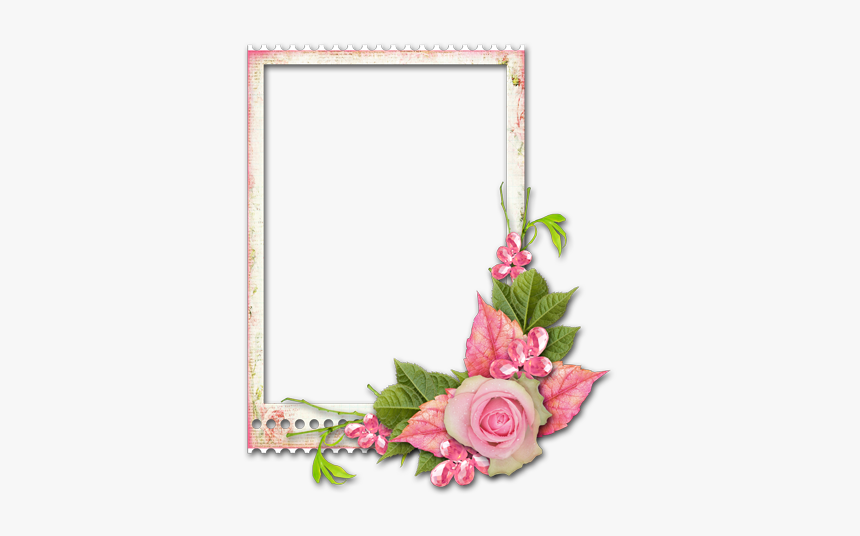 Cadre Avec Fleurs - Cadres Fleur Transparent, HD Png Download ...