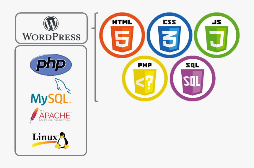 Fix Wordpress Error And Bug Fix Html Css Style Issue By Topwebsol 