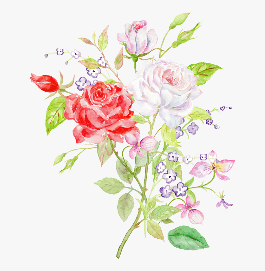 Hybrid Tea Rose, HD Png Download , Transparent Png Image - PNGitem