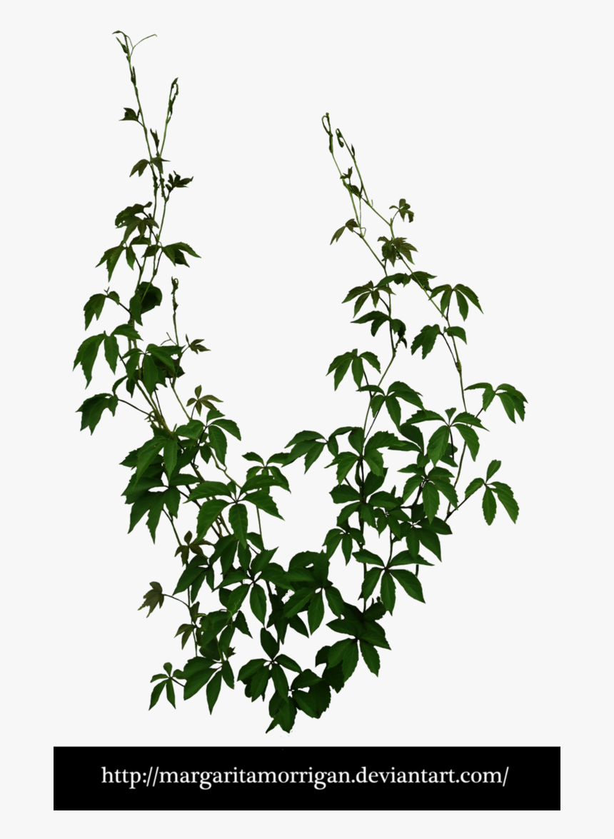 Climber Planting Cut Out, HD Png Download , Transparent Png Image - PNGitem