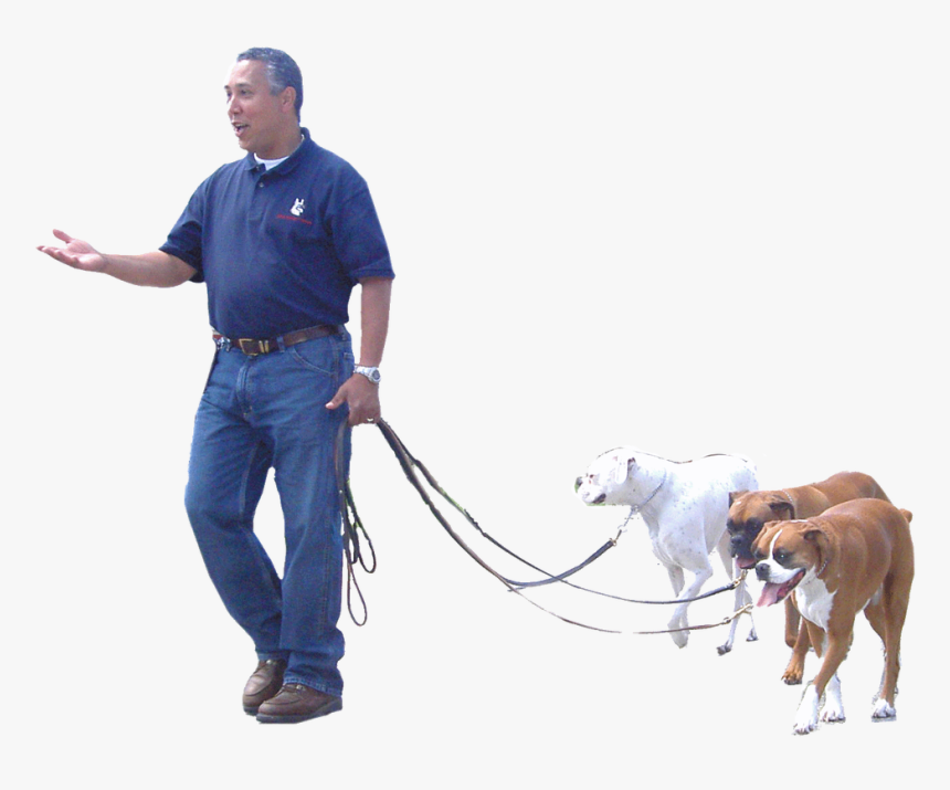 Picture - Police Dog, HD Png Download , Transparent Png Image - PNGitem