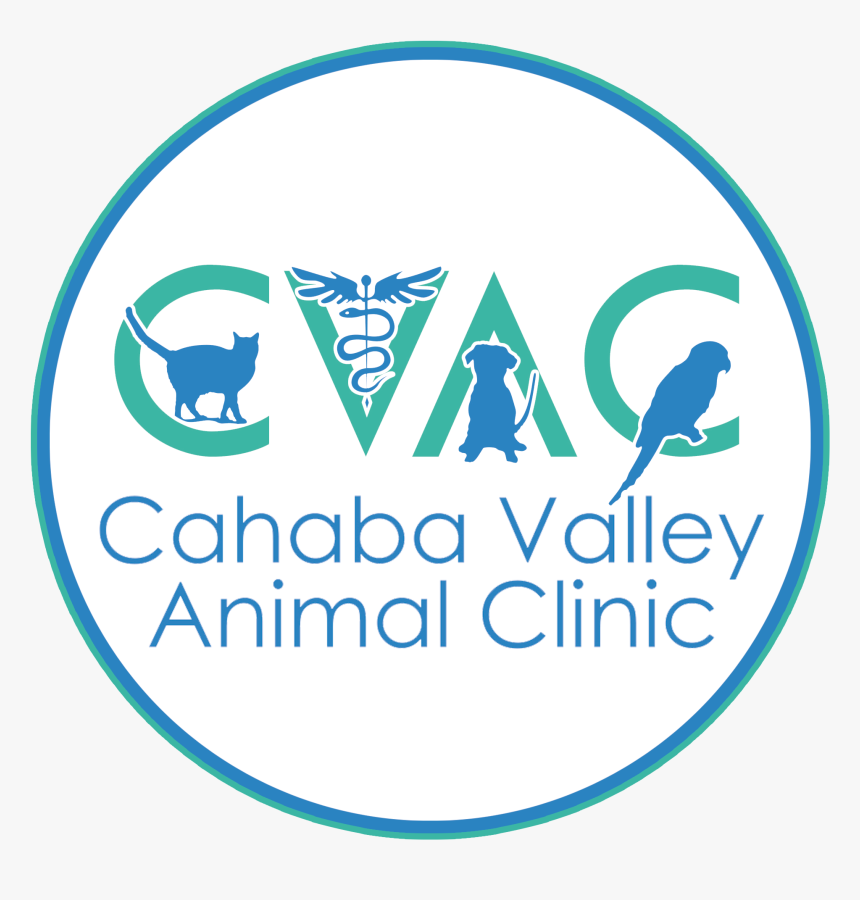 Cvac Logo With Name Circle - Lactalis Australia Pty Ltd, HD Png ...