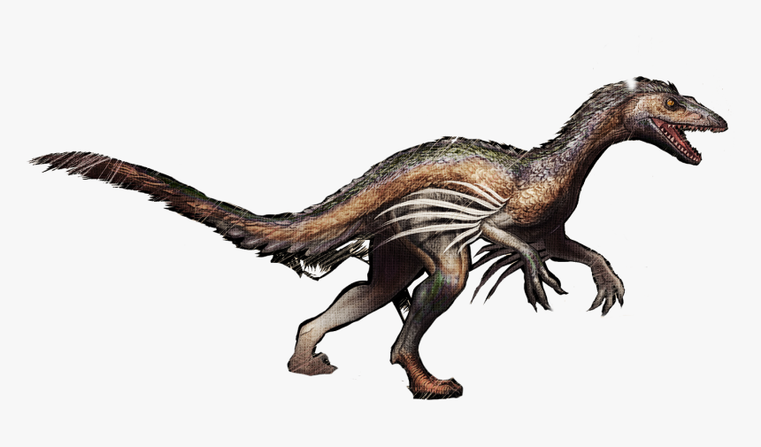 Velociraptor Troodon Survival Evolved Tyrannosaurus - Ark Troodon Png ...