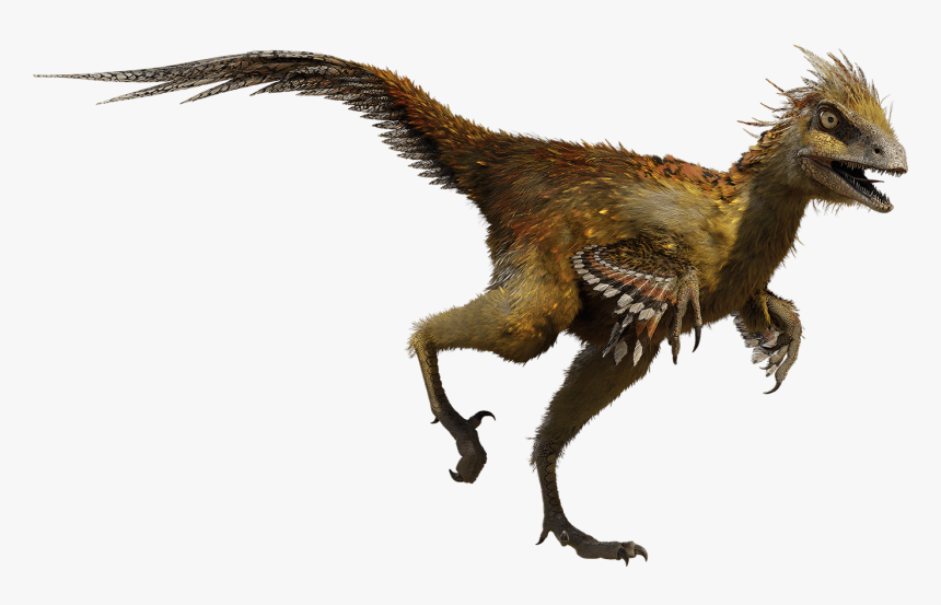 Thumb Image - Color Is The Troodon, HD Png Download , Transparent Png ...
