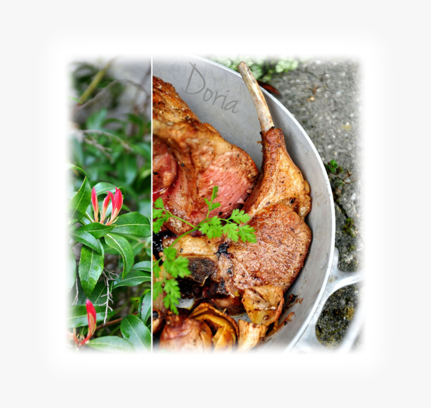 Lamb And Mutton, HD Png Download , Transparent Png Image - PNGitem