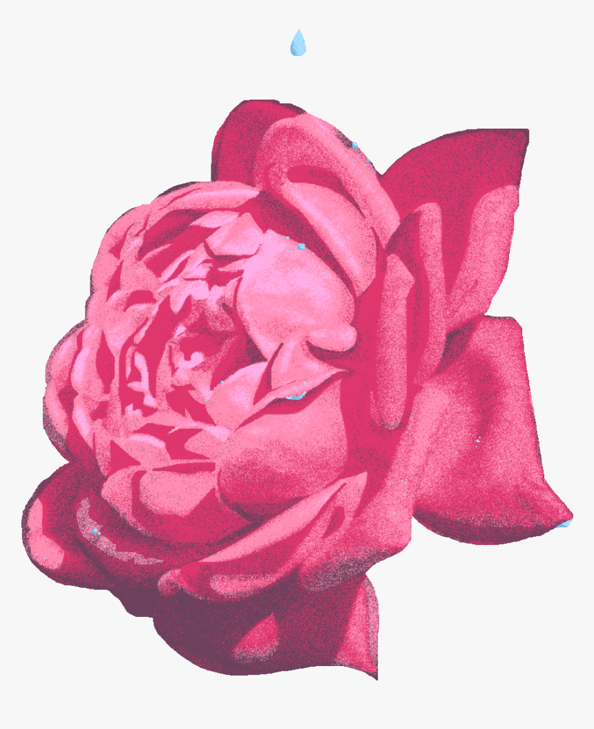 Circle Overlay Png, Transparent Png , Transparent Png Image - PNGitem