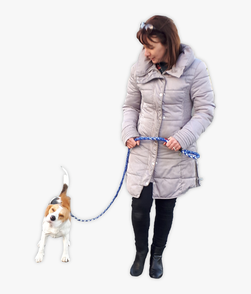 Dog Walking, HD Png Download , Transparent Png Image - PNGitem