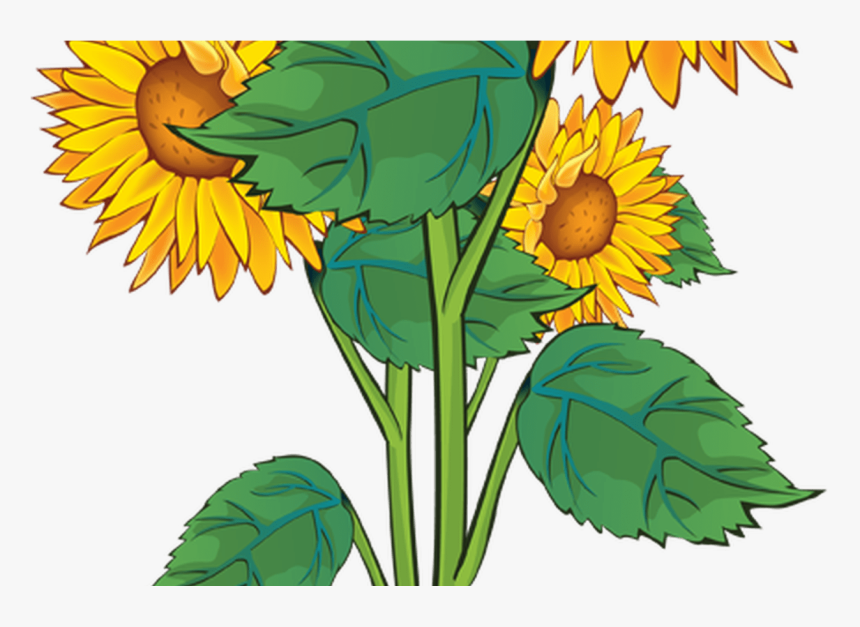 Summer Flower Clip Art