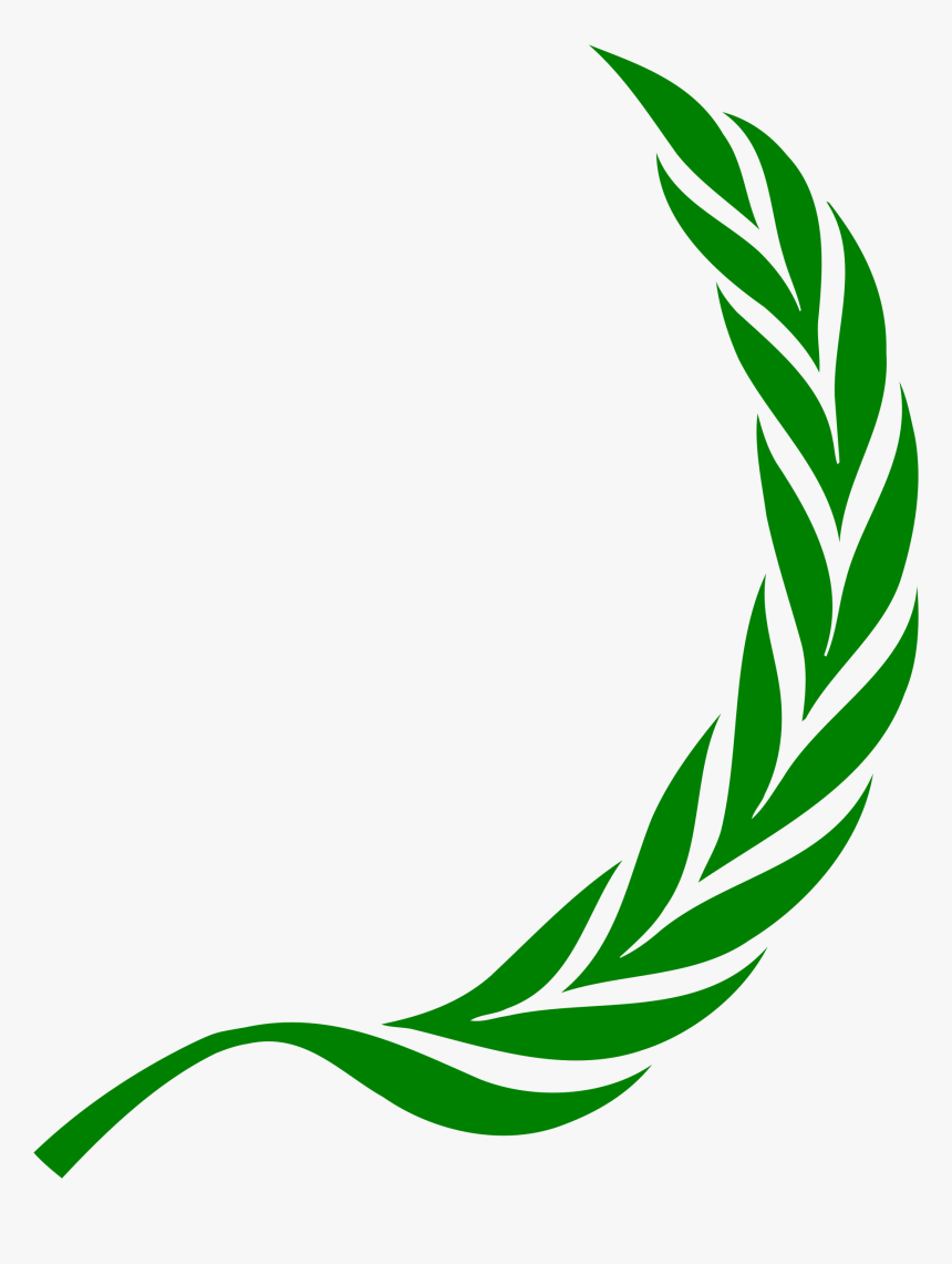 Human Right Council Logo, HD Png Download , Transparent Png Image - PNGitem