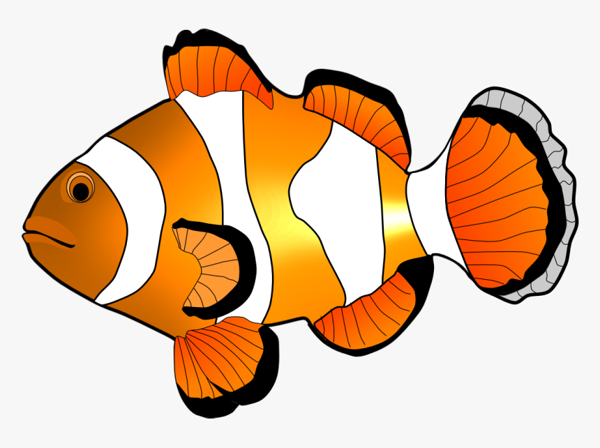 Ocean Fish Clip Art