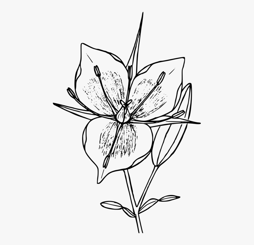 Cuban National Flower Tattoo