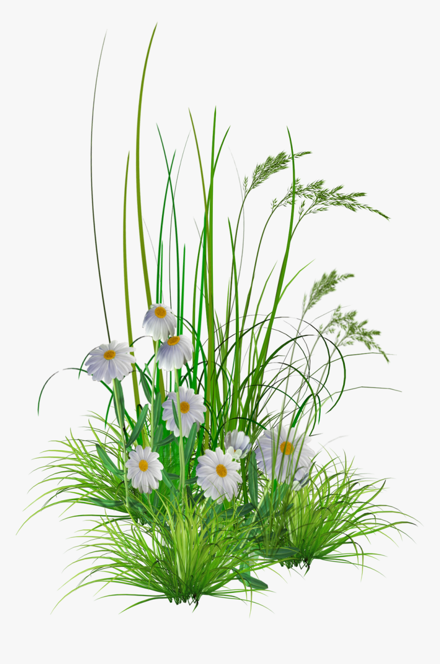 Transparent Flower Png Hd Background - Garden Flower Png, Png Download ...