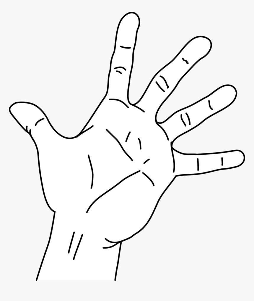 Hand Span Measurement Clipart, HD Png Download , Transparent Png Image ...