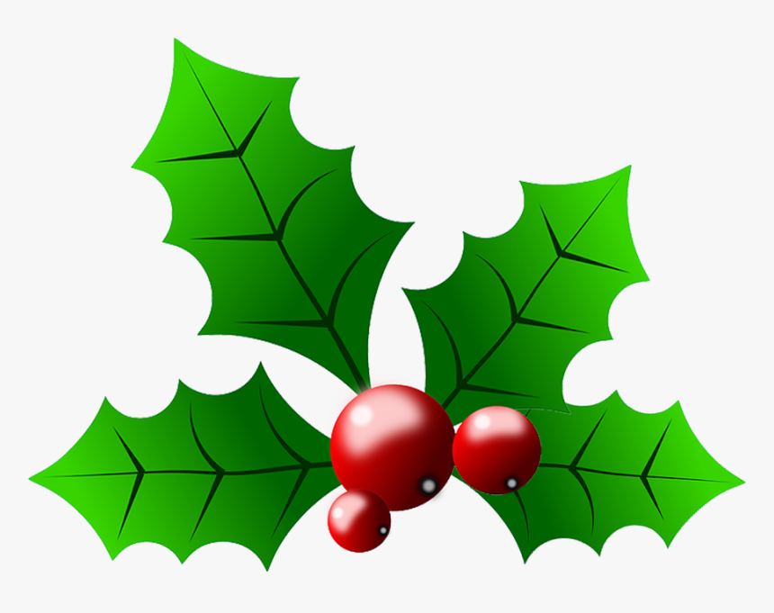 Common Holly Christmas Clip Art - Holly And Berries Clip Art, HD Png ...