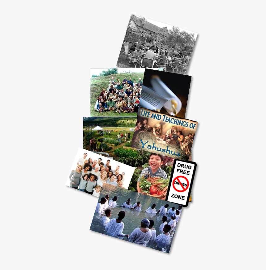 Collage, HD Png Download , Transparent Png Image - PNGitem