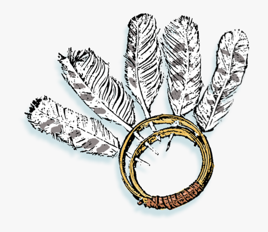 Rectangle - Illustration, HD Png Download , Transparent Png Image - PNGitem