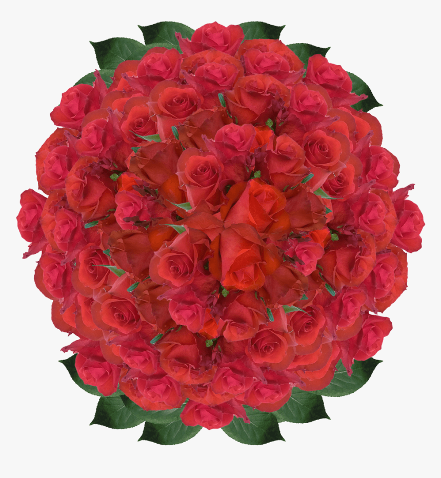Red Roses Wholesale Blood Red Rose Flowers Order Roses - Floribunda, HD ...