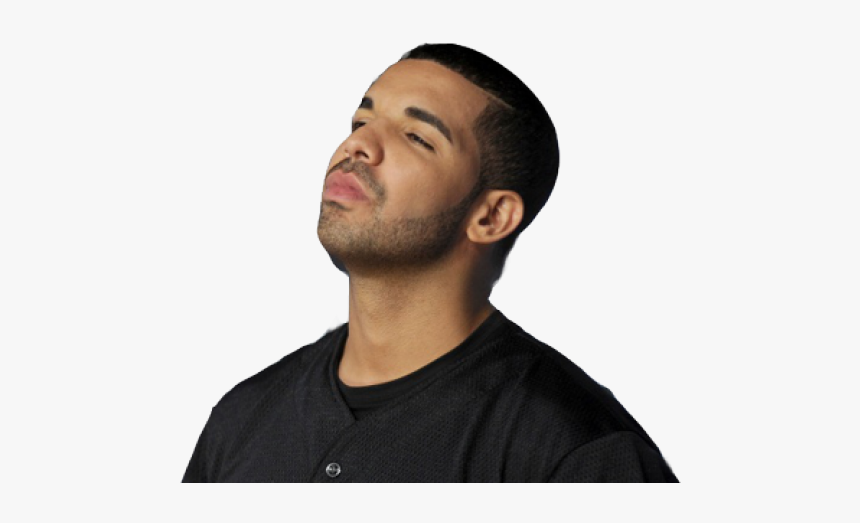 Drake Png Transparent Images - Transparent Drake Clip Art, Png Download ...