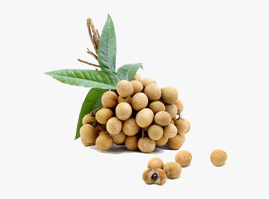 Longan, HD Png Download , Transparent Png Image - PNGitem