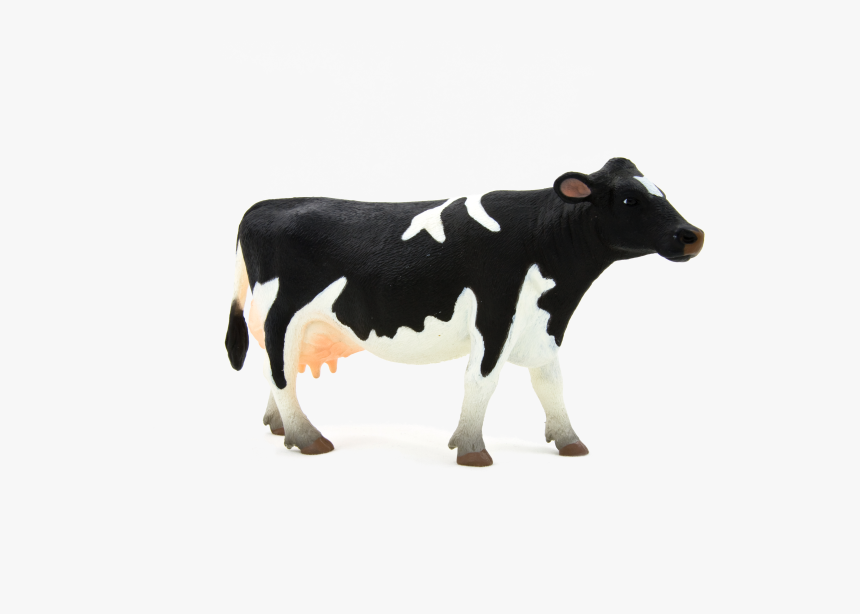 Holstein Cow Mojo, HD Png Download , Transparent Png Image - PNGitem