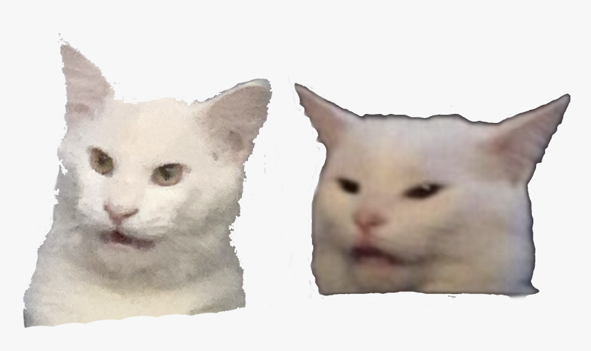 Gatos Stickers, HD Png Download , Transparent Png Image - PNGitem