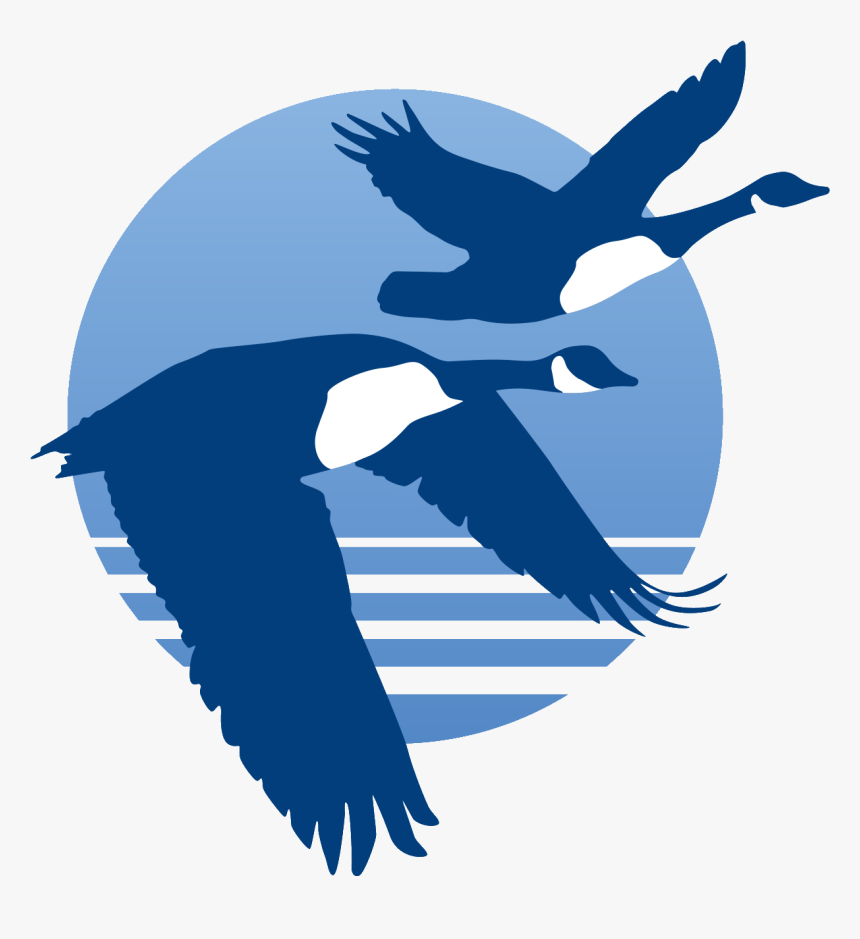 Canada Geese Logo - Eagle, HD Png Download , Transparent Png Image ...