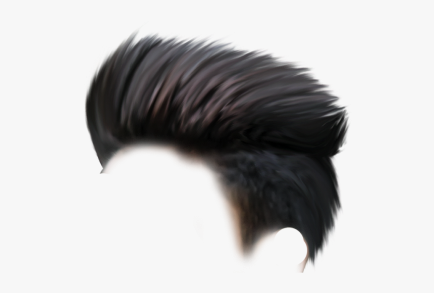 Hair Png Hd Download, Transparent Png , Transparent Png Image - PNGitem