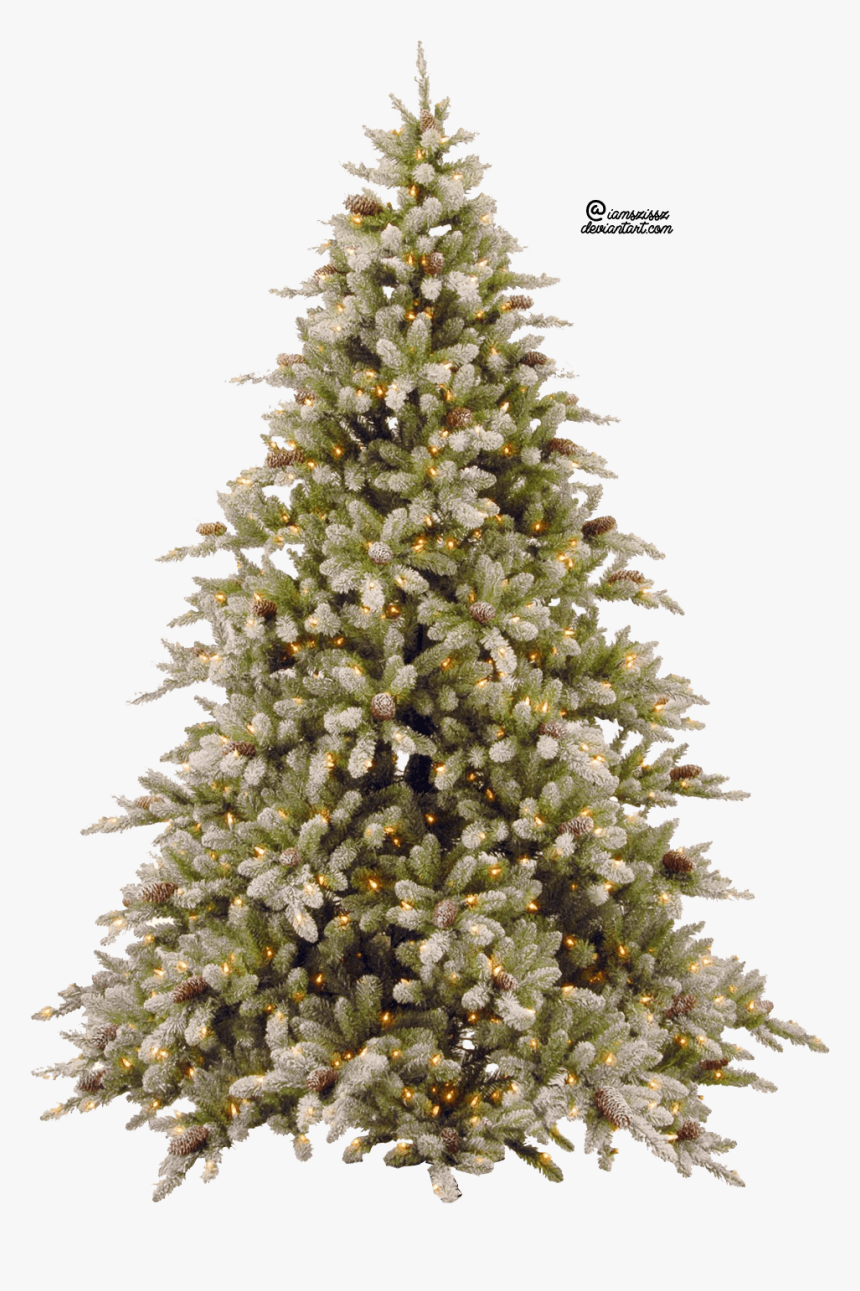 Christmas Tree Png - Snowy Christmas Tree Png, Transparent Png ...