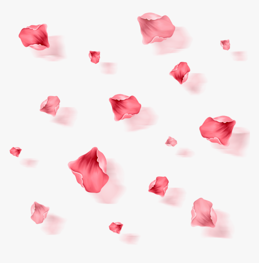 Rose, HD Png Download , Transparent Png Image - PNGitem