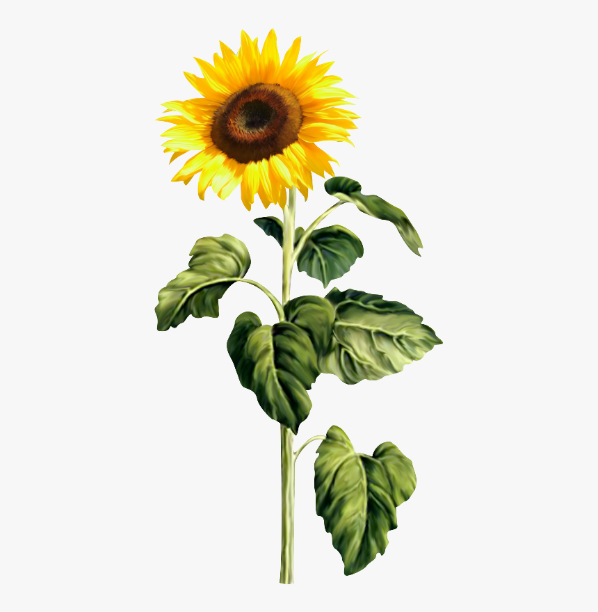 Pixel Sunflower, HD Png Download , Transparent Png Image - PNGitem