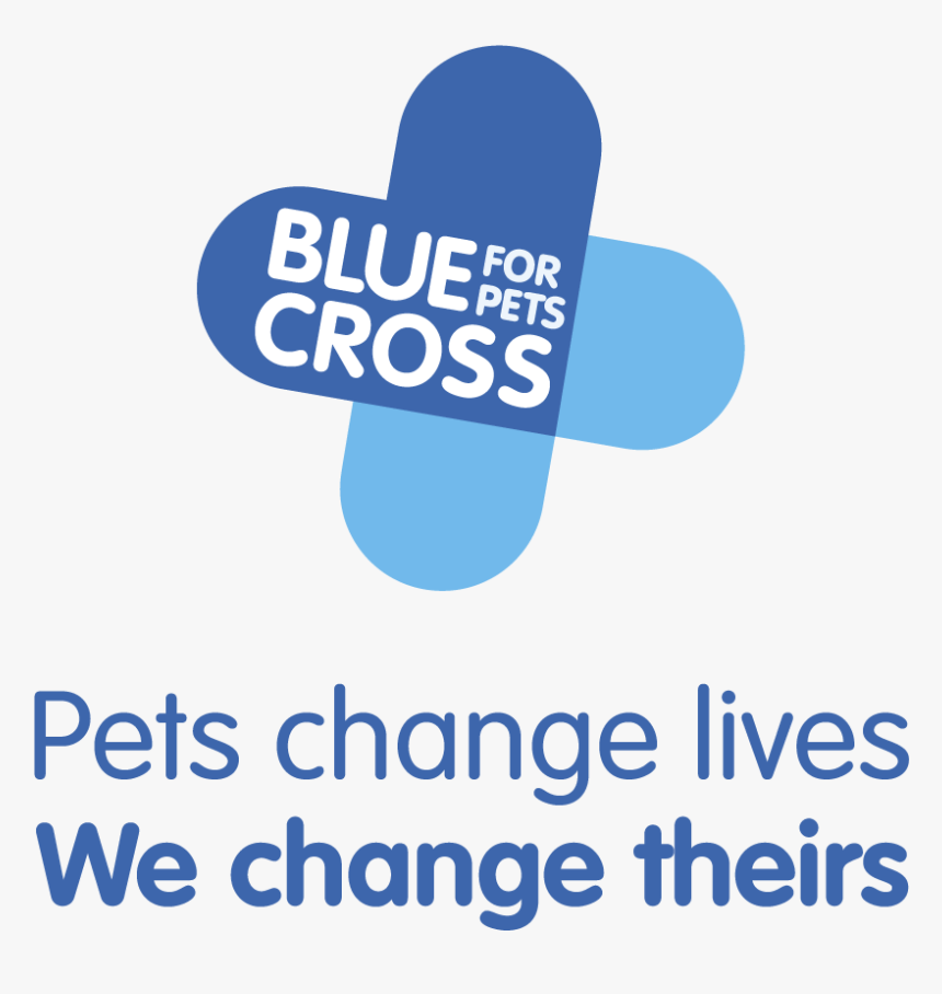 Blue Cross, HD Png Download , Transparent Png Image - PNGitem