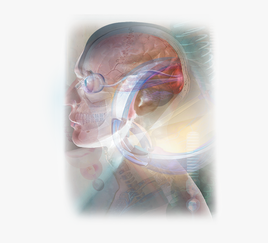 Eye, Head, Brain - Illustration, HD Png Download , Transparent Png ...