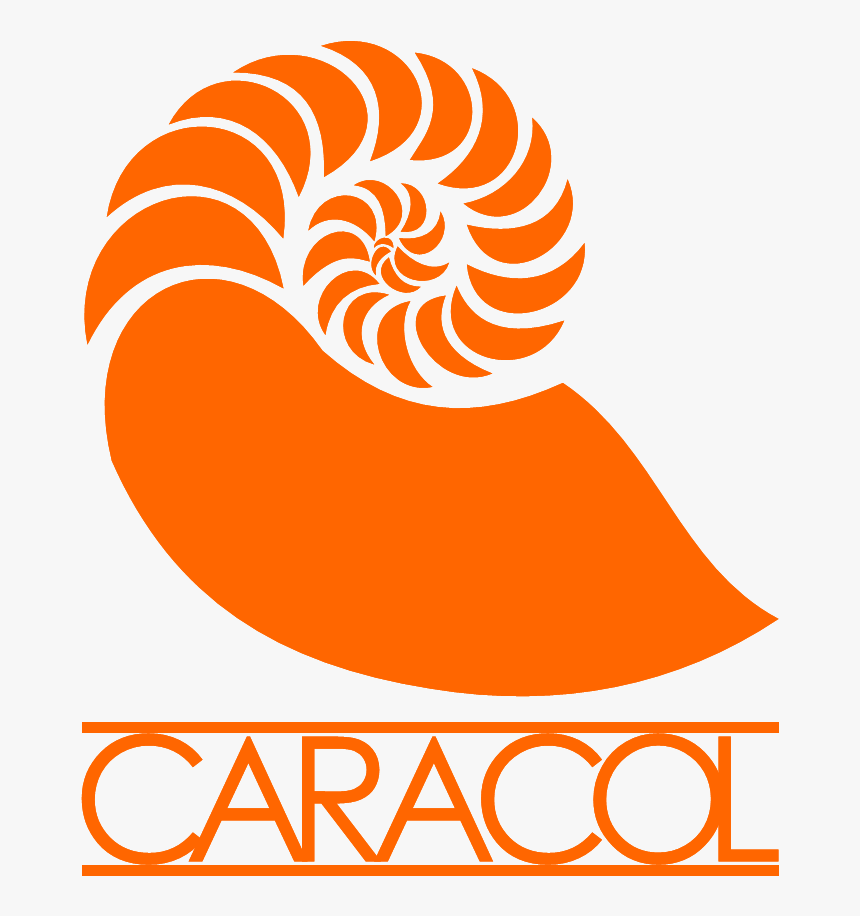 Image - Caracol, HD Png Download , Transparent Png Image - PNGitem