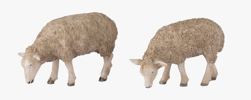 G Scale Grazing Sheep - Sheep, HD Png Download , Transparent Png Image ...