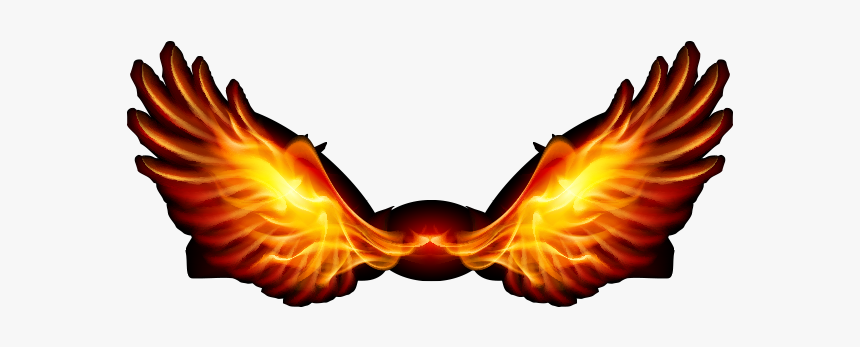 Rising Phoenix From Ashes, HD Png Download , Transparent Png Image ...