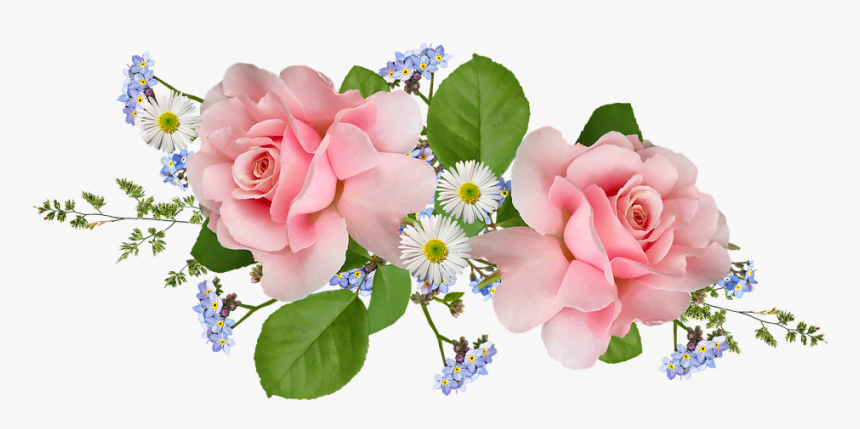 Hybrid Tea Rose, HD Png Download , Transparent Png Image - PNGitem