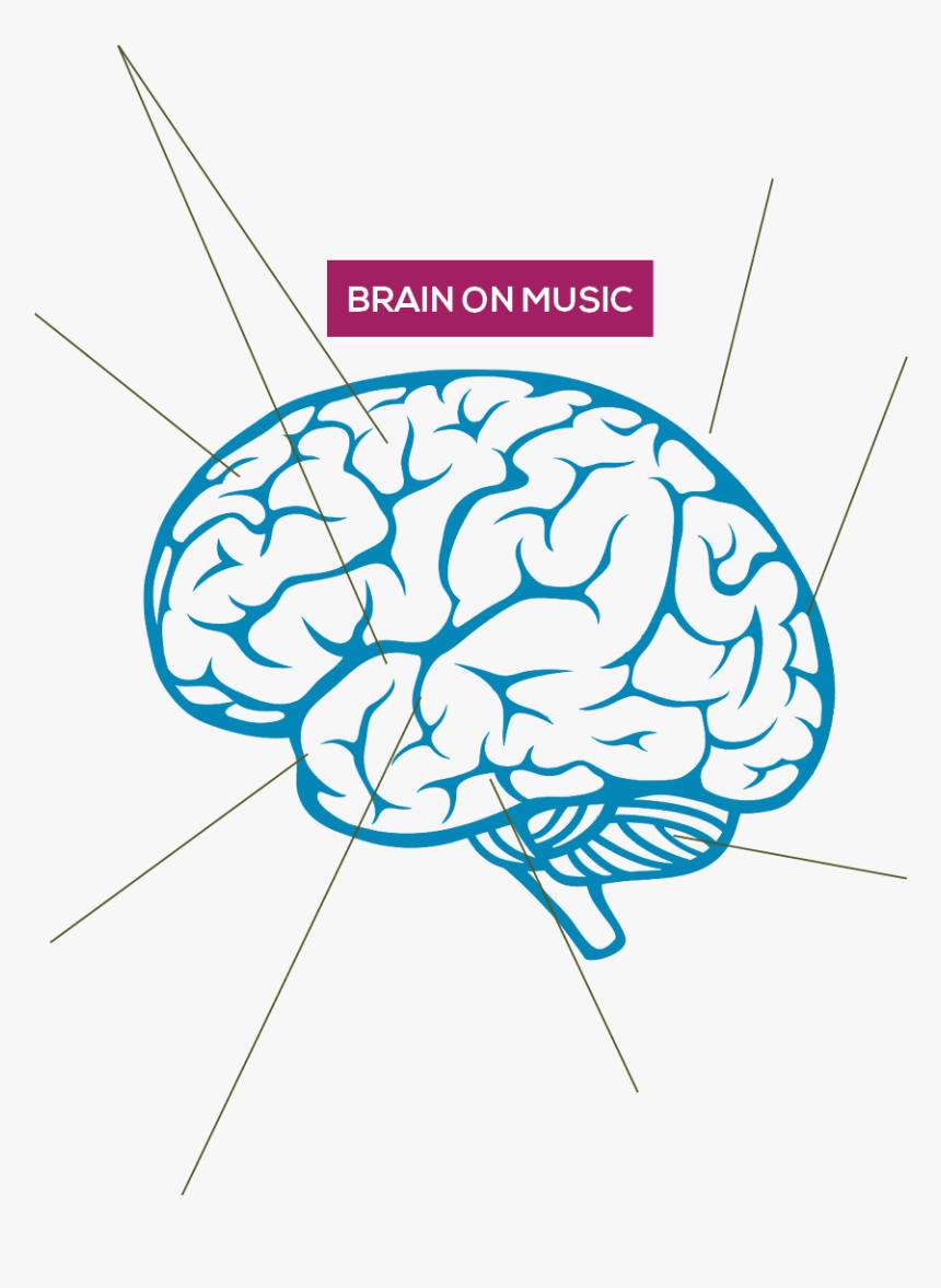 Boosted Capacity Of Structural And Functional Plasticity - Brain ...