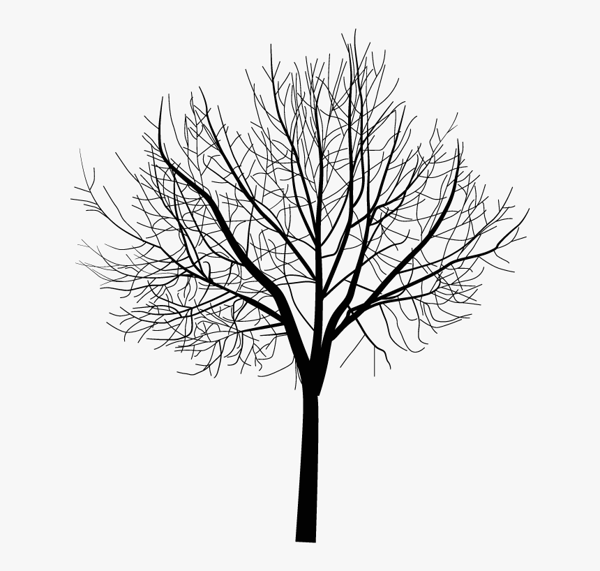 Thumb Image - Animation Trees, HD Png Download , Transparent Png Image ...