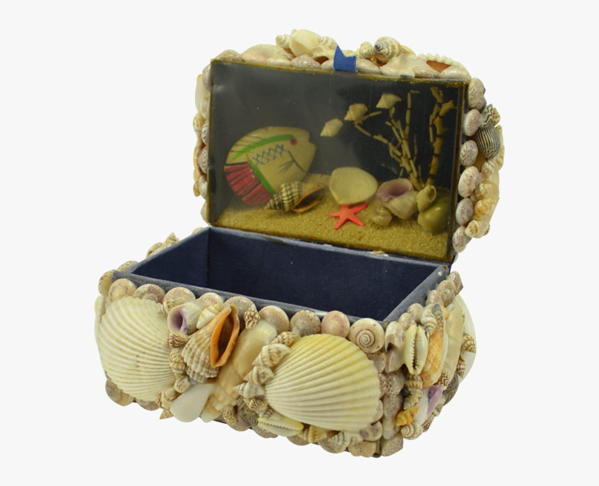 Natural Seashell Treasure Box - Cradle, HD Png Download , Transparent ...