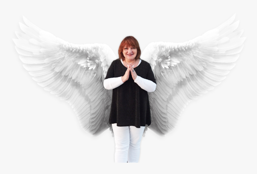 Daisy Wings Cut Out-1, HD Png Download , Transparent Png Image - PNGitem