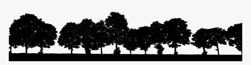 Row Of Pine Trees Clip Art