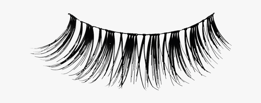 Eyelashes Transparent Background - Transparent Transparent Background ...
