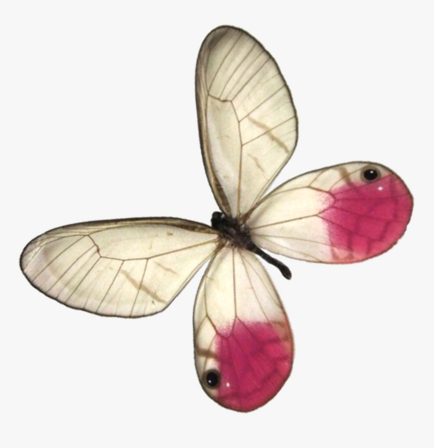 Gru Png, Transparent Png , Transparent Png Image - PNGitem