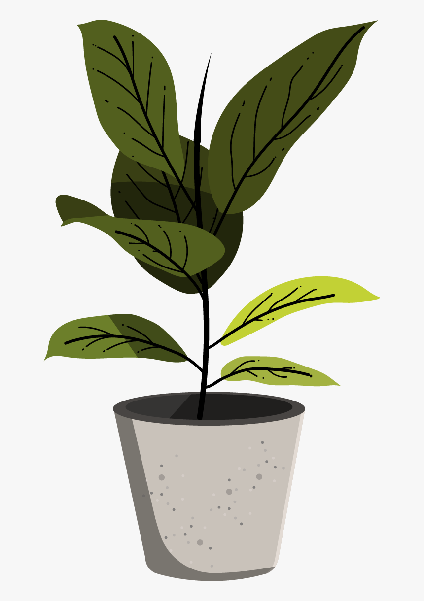 Adobe Illustrator Plants, HD Png Download , Transparent Png Image - PNGitem