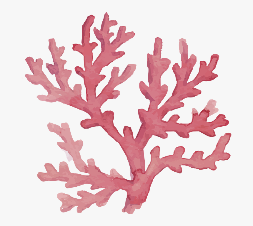 Elementos Fundo Do Mar Png, Transparent Png , Transparent Png Image ...