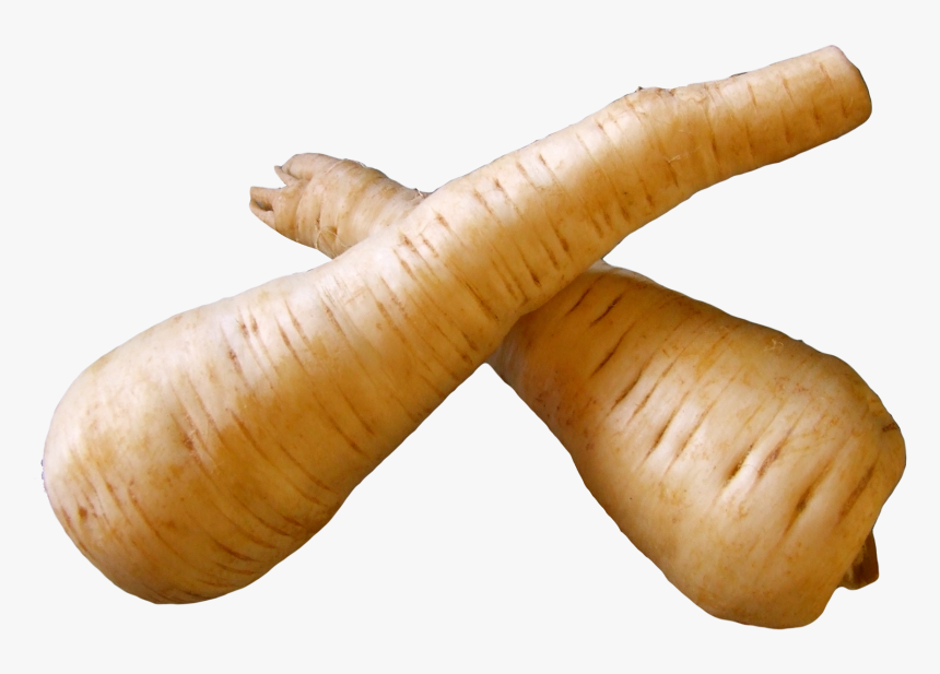 Fresh Parsnip Root - Parsnip Png, Transparent Png , Transparent Png ...