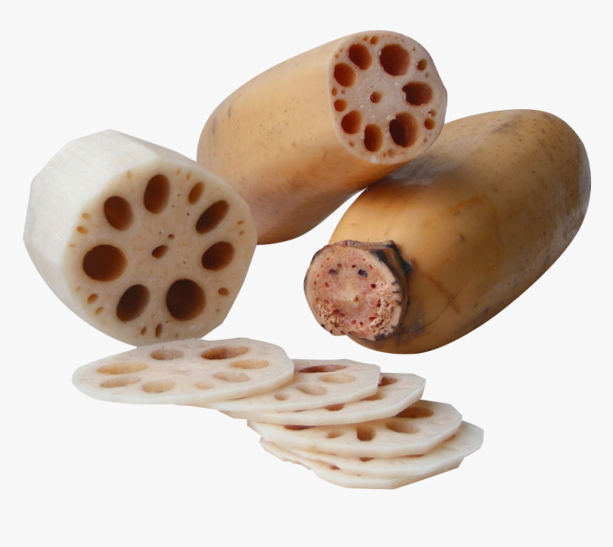 Lotus Root Png Image - Lotus Root Png, Transparent Png , Transparent ...