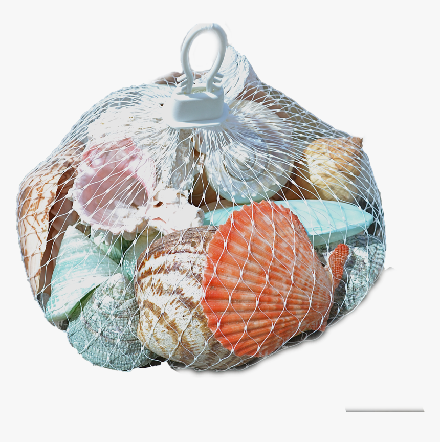 2 Assorted Polished Shells In A White Plastic Net Hanger - White ...