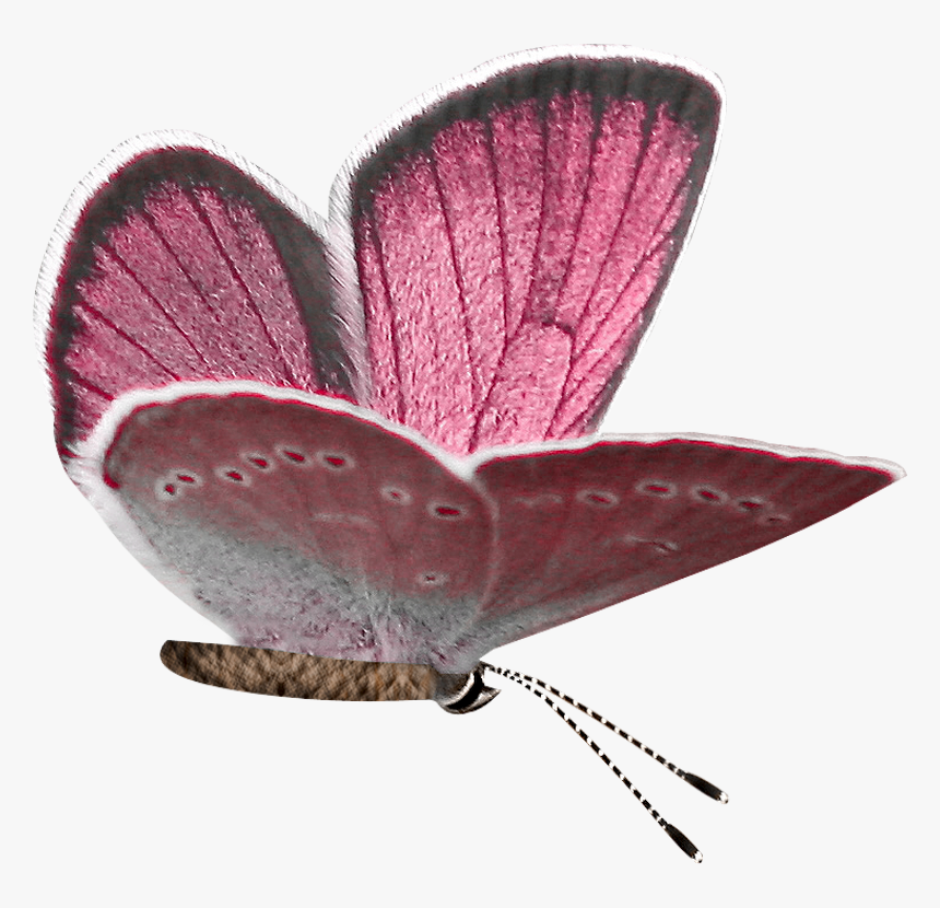 Clipart Things That Color Violet, HD Png Download , Transparent Png ...